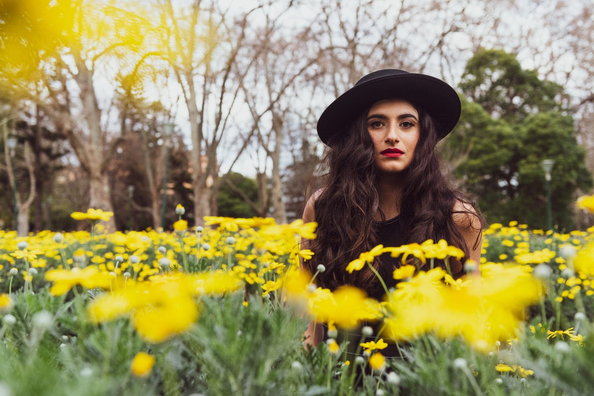 Live Music In Perth Tonight - Ellington Jazz Club