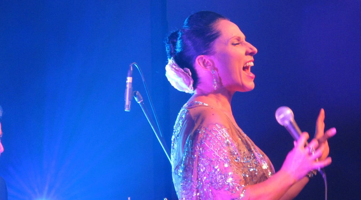 Live Music In Perth Tonight - Ellington Jazz Club